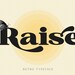 Raise Typeface, Organic Font, Retro Font, Vintage Font, Modern Font ...