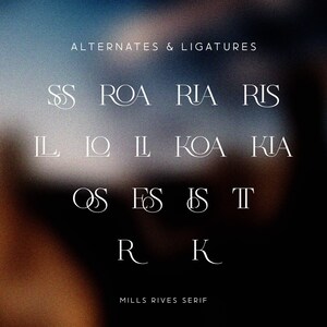 Mills Rives Typeface, Organic Font, Retro Font, Vintage Font, Modern ...