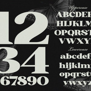 Raise Typeface, Organic Font, Retro Font, Vintage Font, Modern Font ...