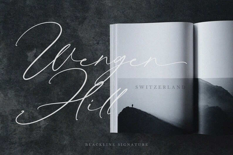 Blackline Signature Font Procreate Font Canva Font Cricut - Etsy