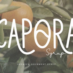 Lily Bird Font, Handwritten Font, Procreate Font, Canva Font, Cricut ...