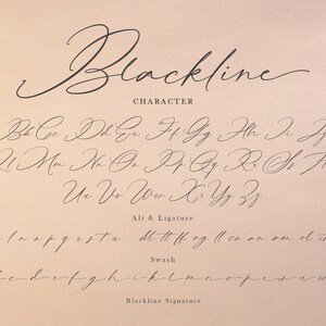 Blackline Signature Font, Procreate Font, Canva Font, Cricut Fonts ...