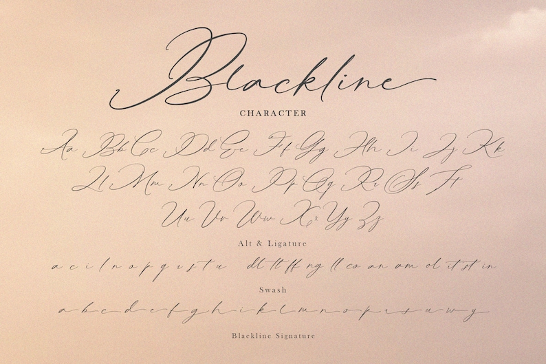 Blackline Signature Font Procreate Font Canva Font Cricut - Etsy