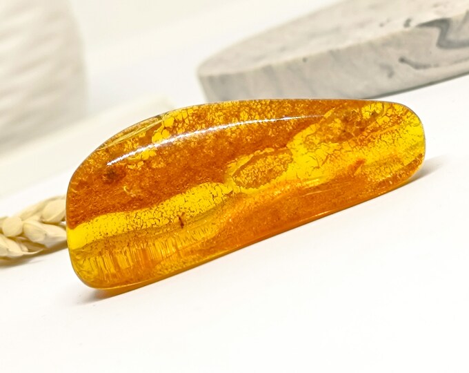 Rare Baltic Amber Stone With Insect Inclusion, Collectors Specimen ...