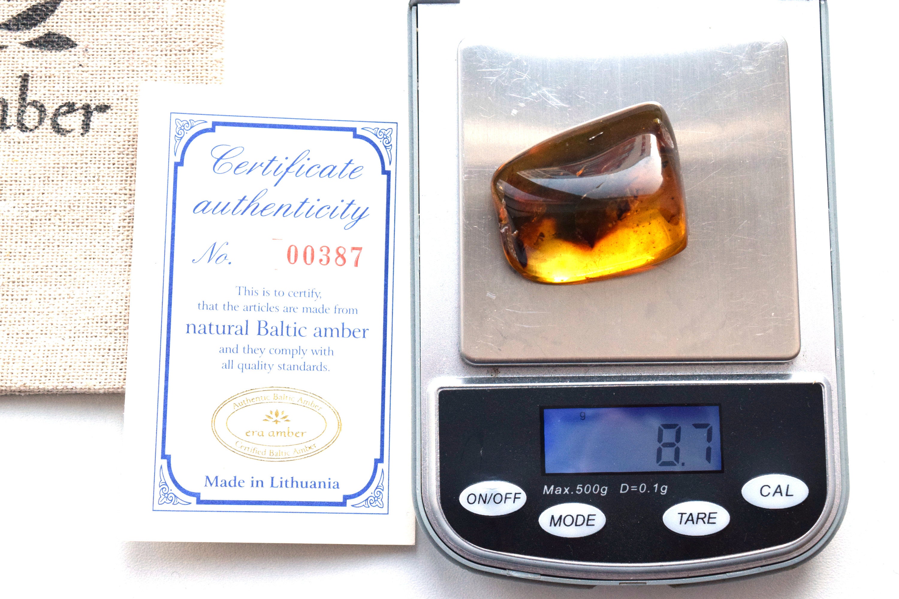 Amber with Insect InclusionAmber Stone with FossilInsect | Etsy