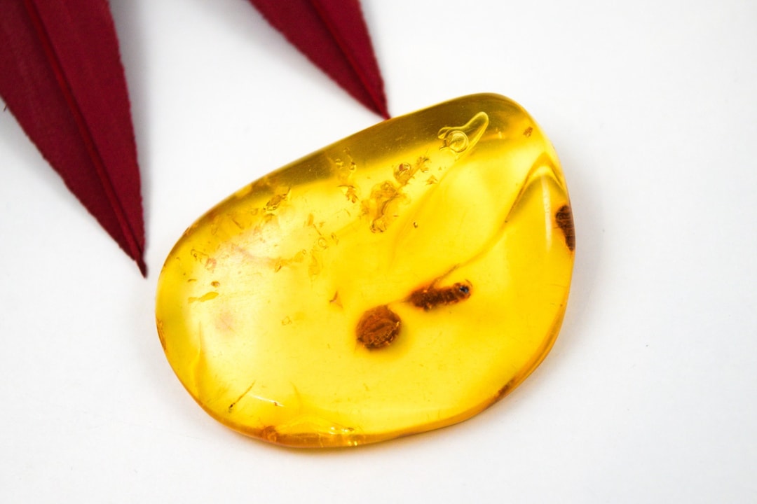 Large Amber Stone,amber Gemstone,collector's Piece,amber for Display ...