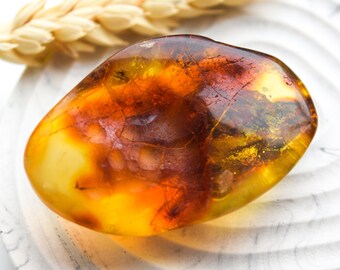 Large Amber Stone | Etsy