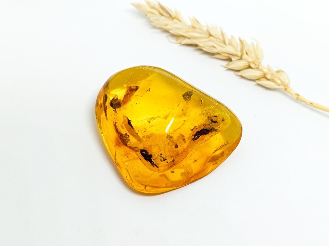 20gr Large Amber Stone,amber Gemstone,collector's Piece,amber for ...