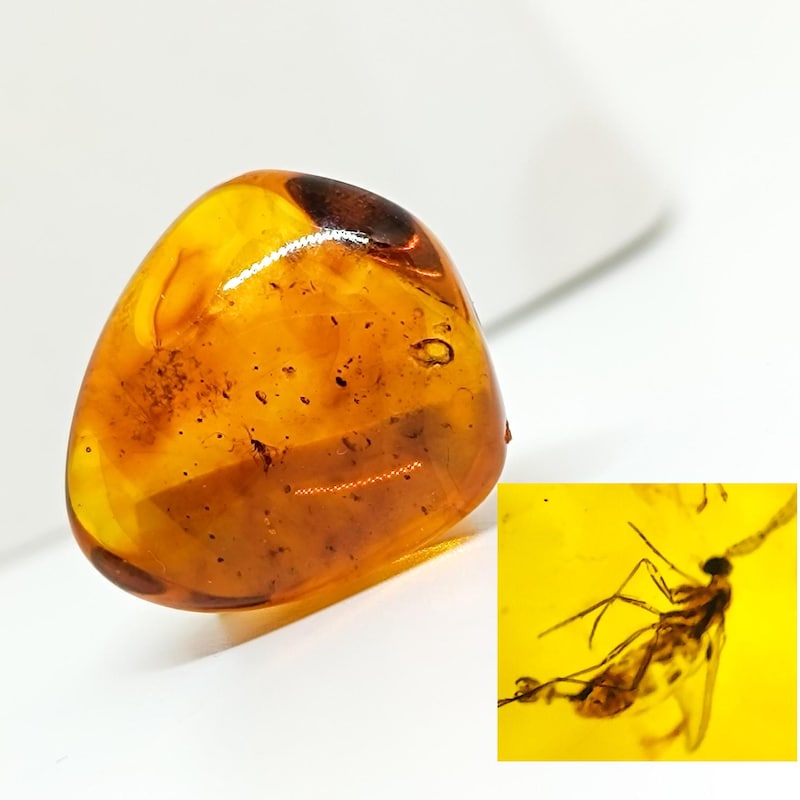 Amber With Insect - Etsy