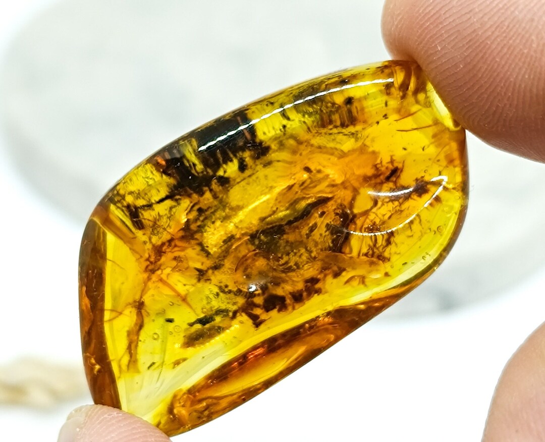 Large Amber Stone, Amber Gemstone, Collector's Piece, Amber for Display ...