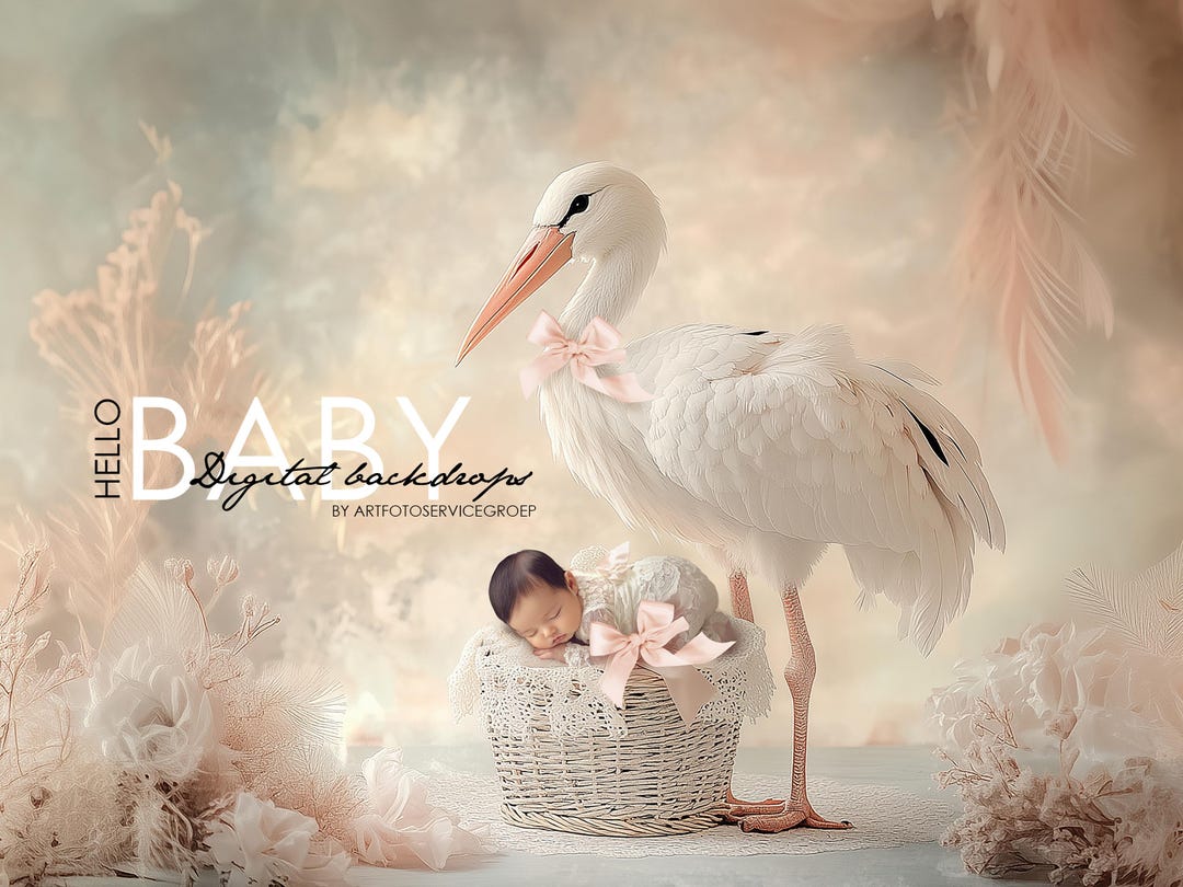 Newborn Digital Backdrop With a Stork and Basket - Etsy