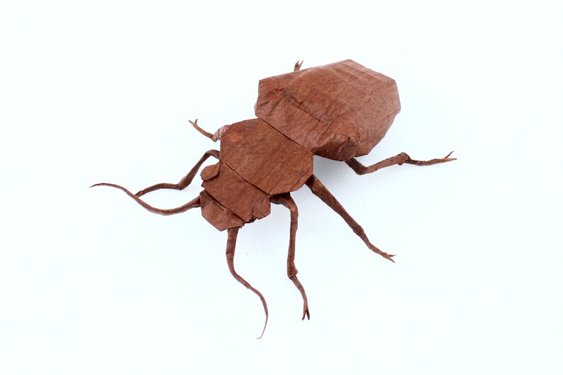 Handmade Origami Bed Bug Designed by Me. - Etsy
