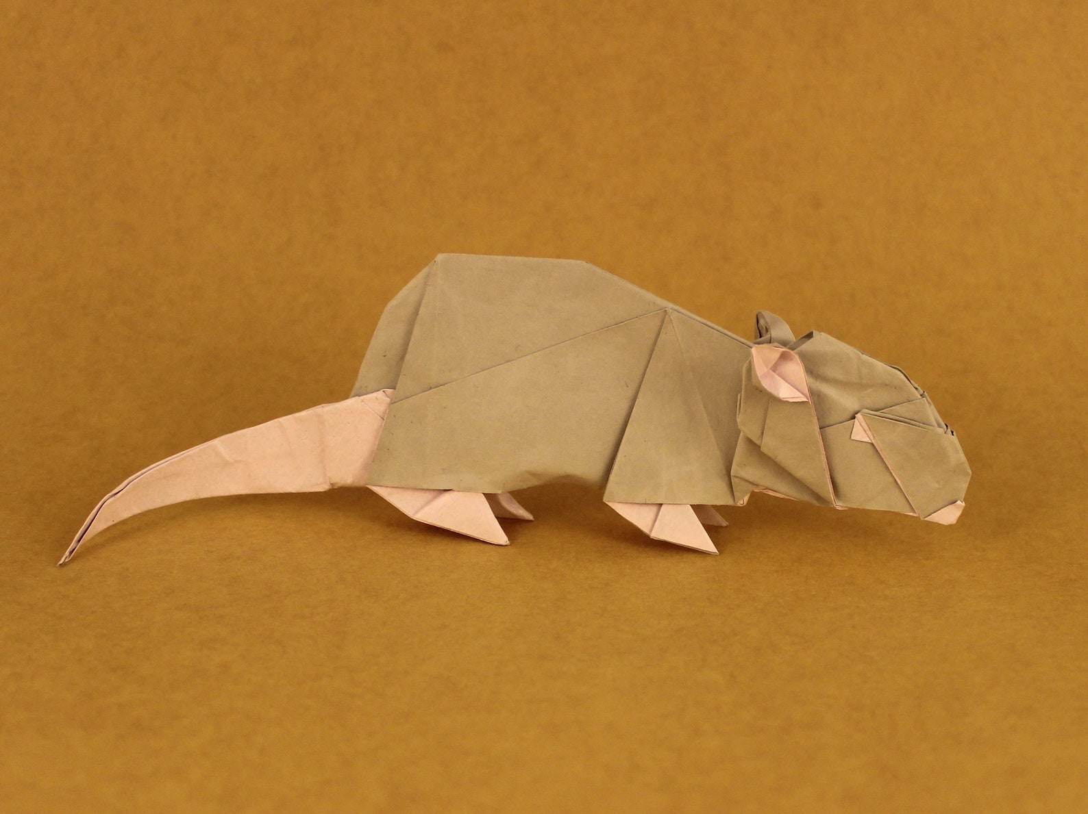Step by Step Instructions for Origami Rat by Damian Malicki - Etsy