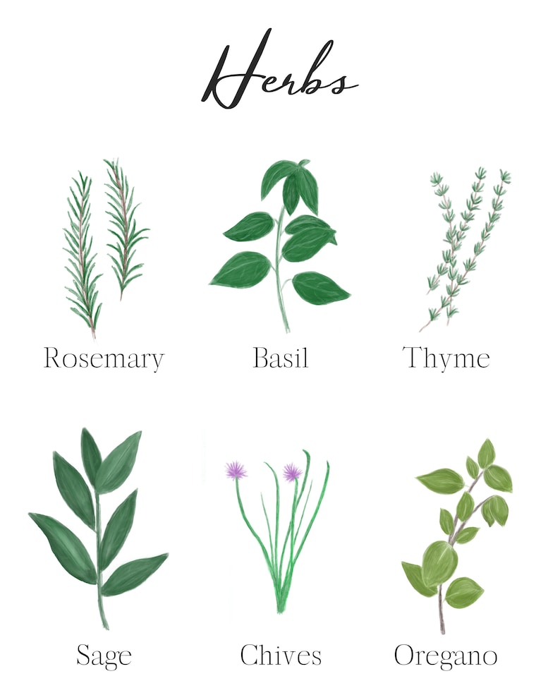 Hand Painted Kitchen Herbs Printable - Etsy