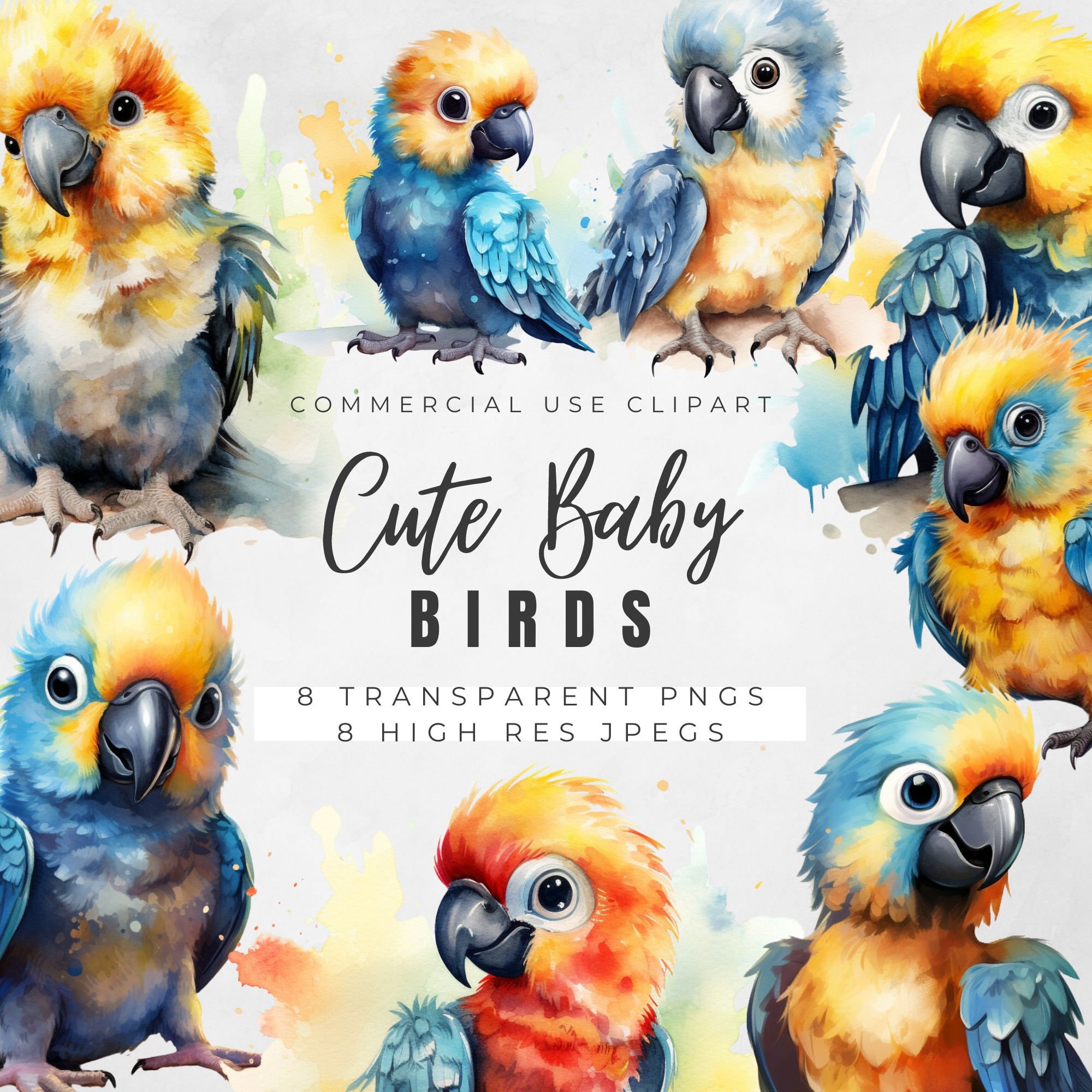 Cute Baby Birds Clipart PNG JPEG Nursery Watercolour Birds Macaw Parrot ...
