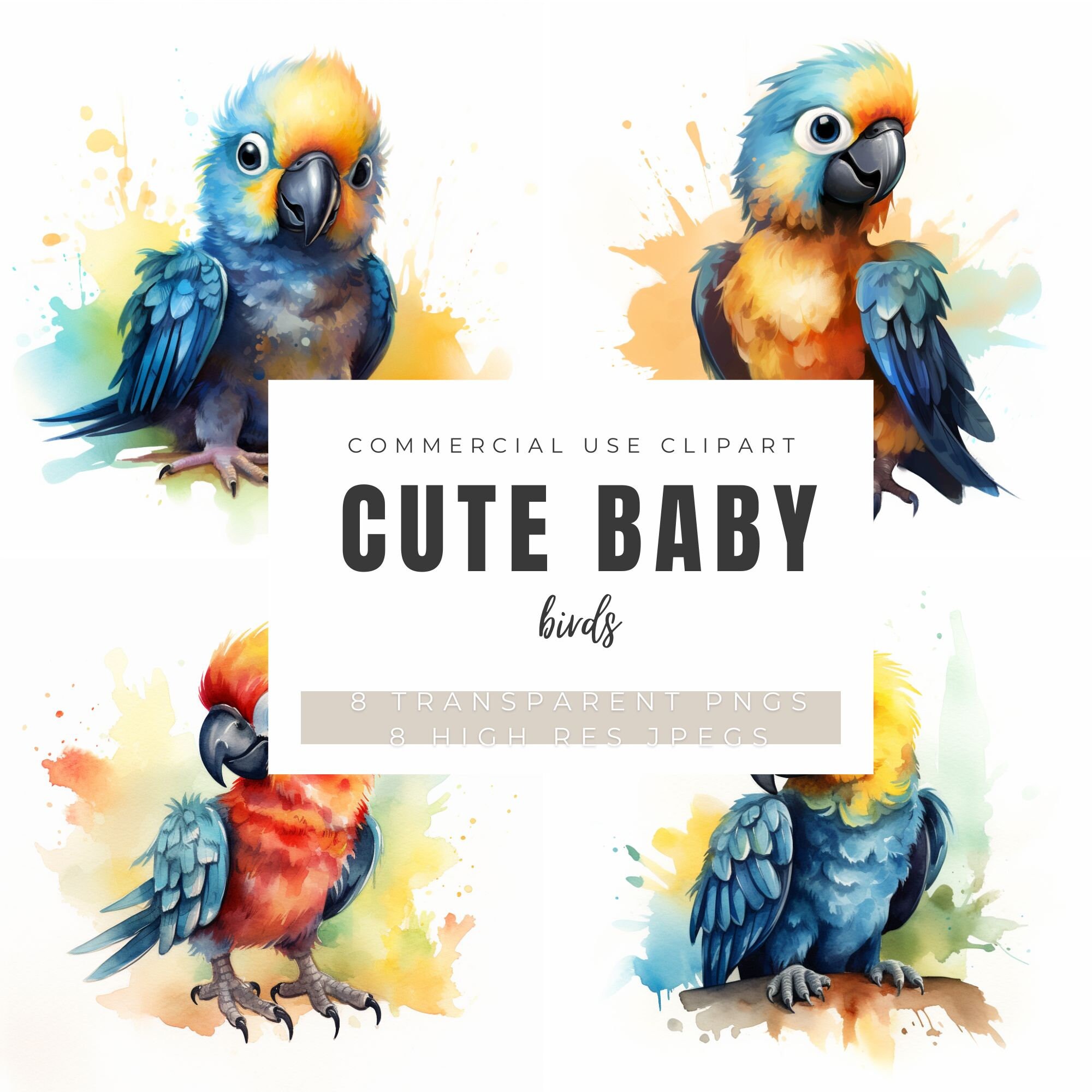 Cute Baby Birds Clipart PNG JPEG Nursery Watercolour Birds Macaw Parrot ...