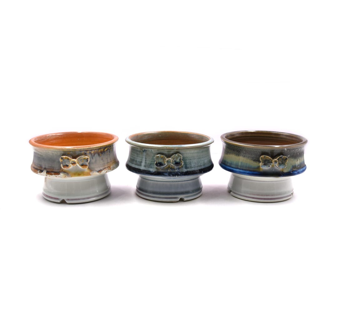 Glazed Pottery Succulent Pot With Bow Detail - 4.5" - Etsy