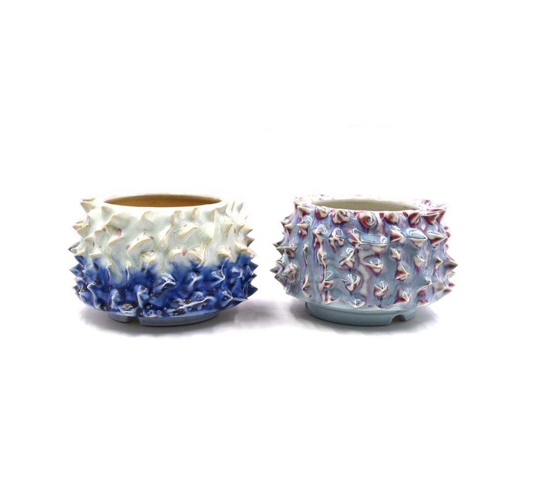 5"inches flow Glaze Durian Style Tank Pot Planter Pot Succulent Pot - Etsy