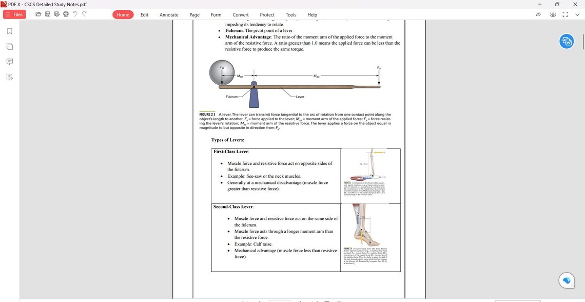 Detailed CSCS Study Notes and Quality CSCS Study Guide for CSCS Exam ...