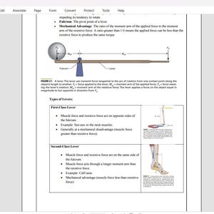 Detailed CSCS Study Notes and Quality CSCS Study Guide for CSCS Exam ...