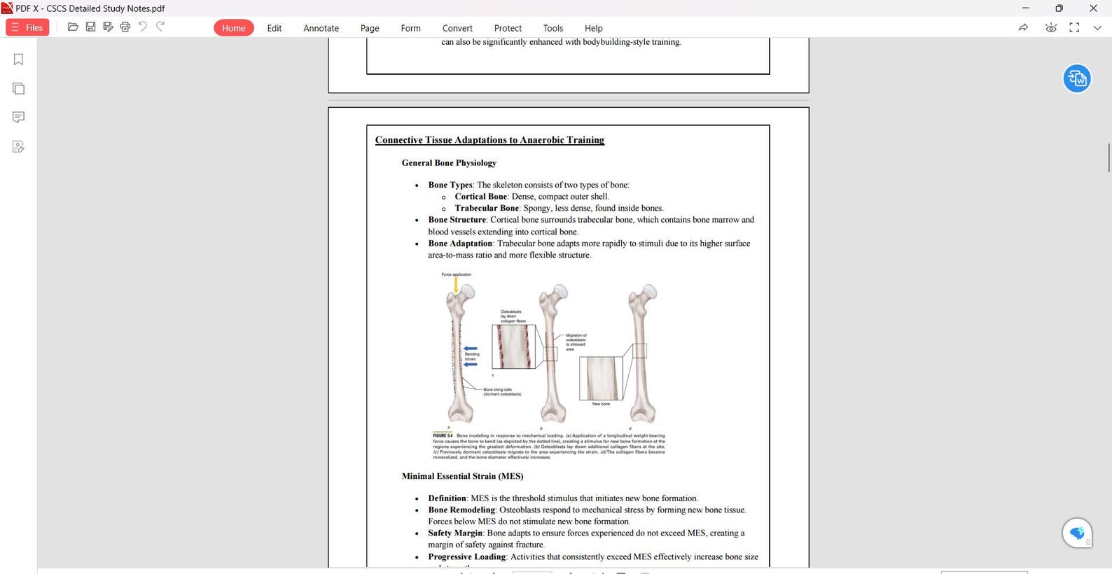 Detailed CSCS Study Notes and Quality CSCS Study Guide for CSCS Exam ...