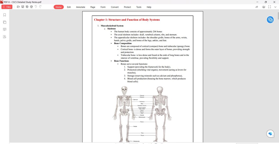 Detailed CSCS Study Notes and Quality CSCS Study Guide for CSCS Exam ...