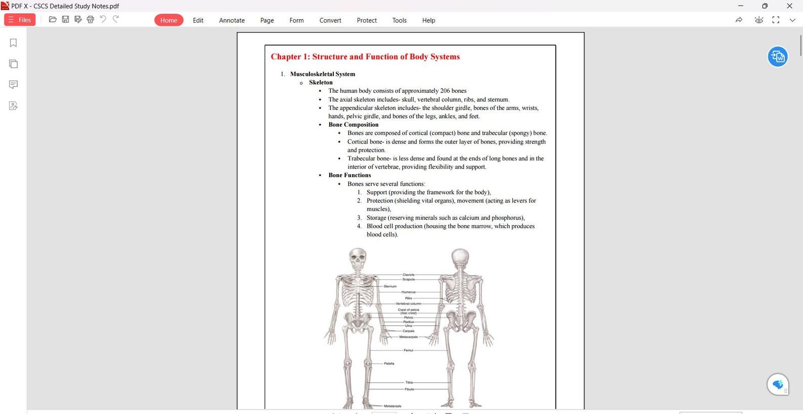Detailed CSCS Study Notes and Quality CSCS Study Guide for CSCS Exam ...
