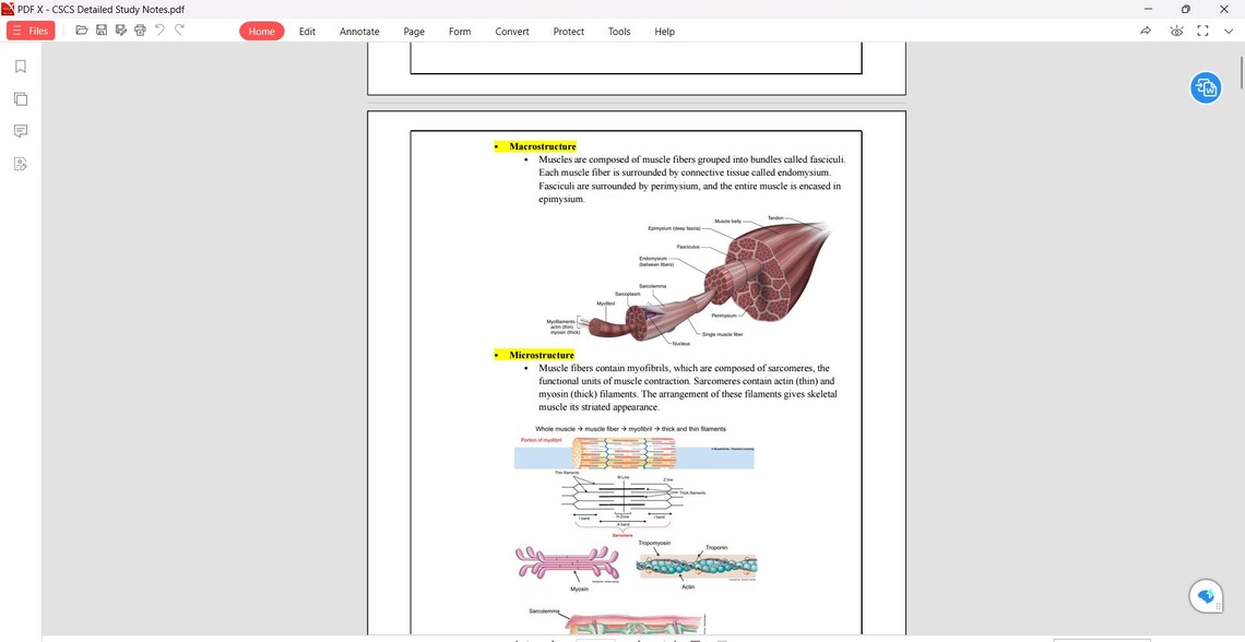 Detailed CSCS Study Notes and Quality CSCS Study Guide for CSCS Exam ...