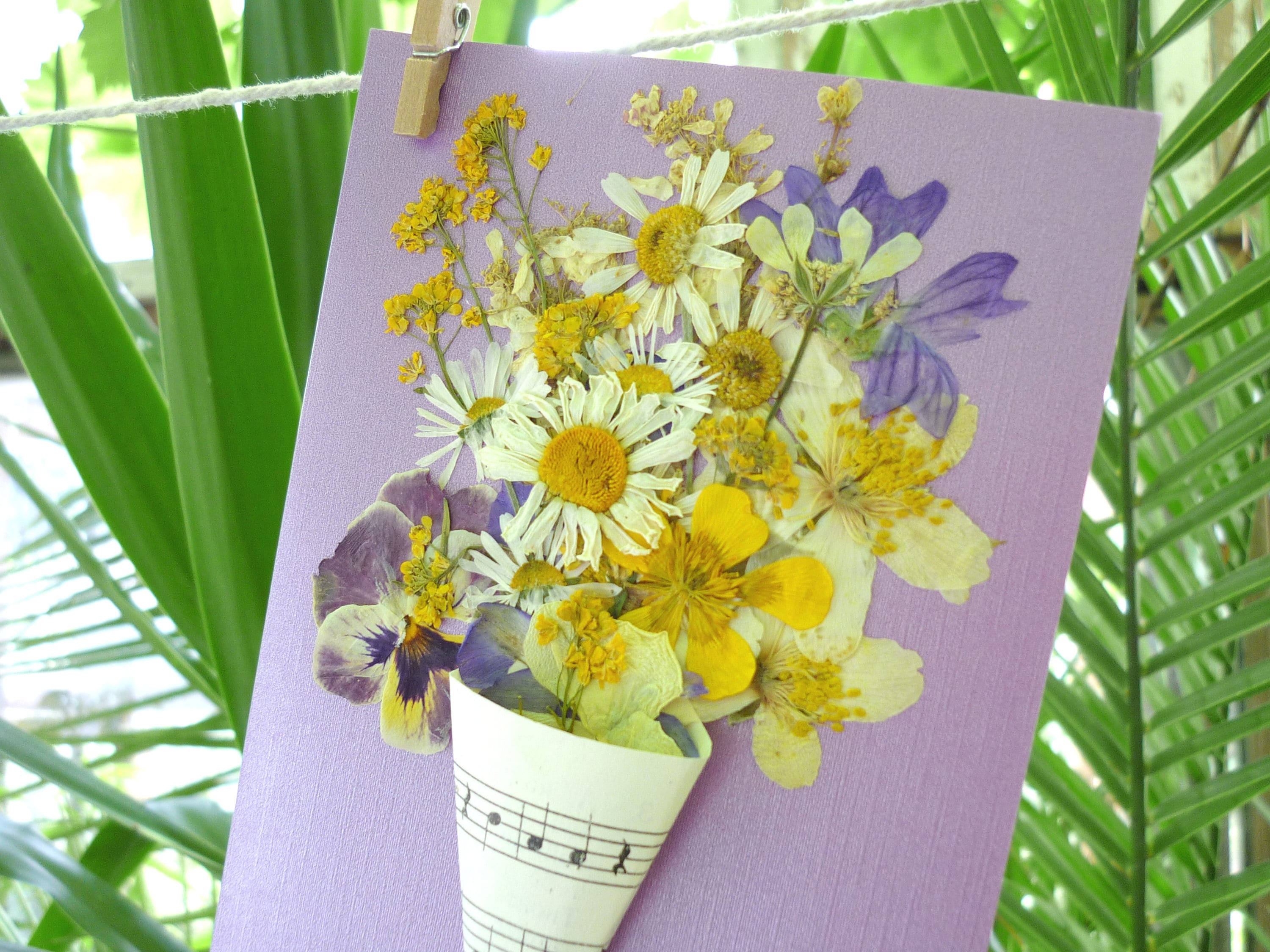 Pressed Flower Card Dried Flower Card Pressed Flower Art Etsy pressed-flower-card-dried-flower-card-pressed-flower-art-etsy