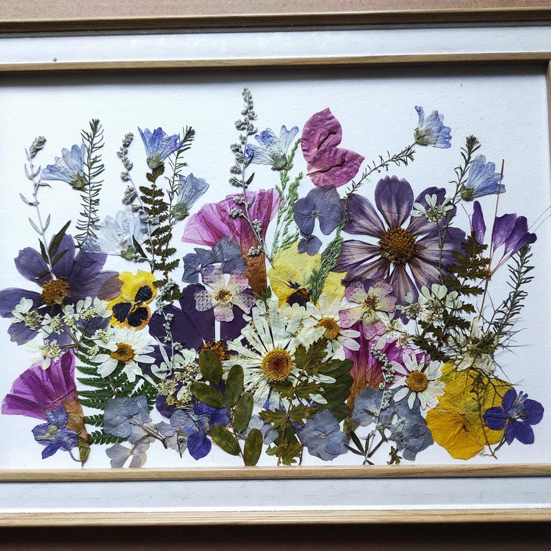 Dried Flower Art - Etsy