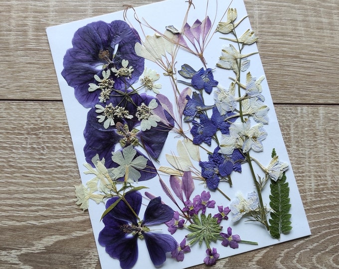 Mixed Pack for Craft, Flowers for Resin, Pressed Flower Art, Pressed ...
