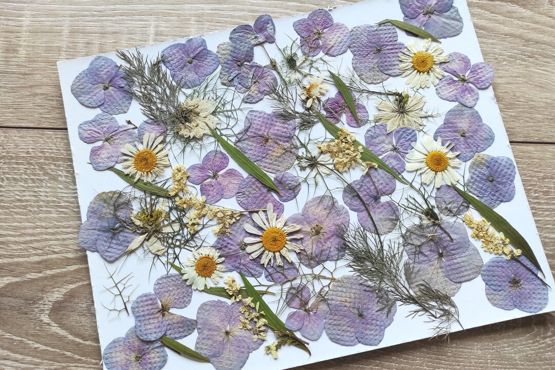 Pressed Flowers for Resin, Pressed Flower Art, Real Pressed Flowers ...