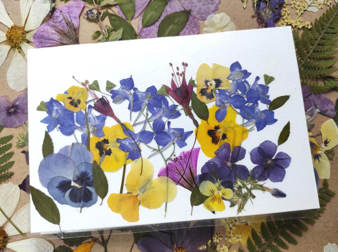 Pressed Flower Cards, Anniversary Card, Flowers Note Card, Pressed ...