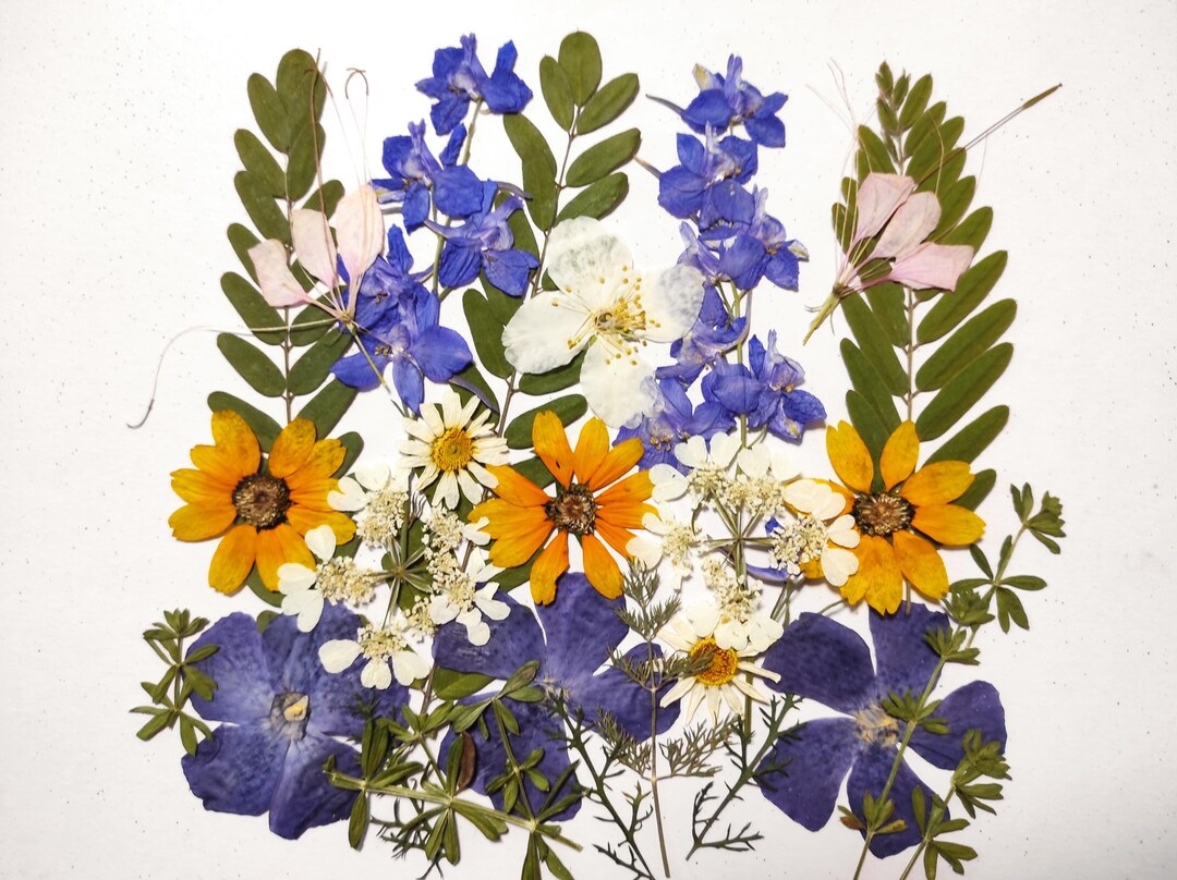 Pressed Wildflowers for Resin Jewelry, Crafts & Card Making DIY - Etsy