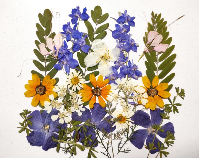 Small Pressed Flower Craft for DIY Jewelry Card Invitation DIY Flower ...