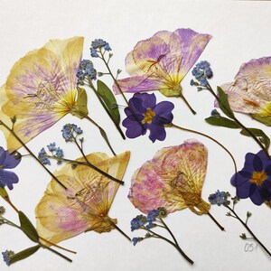 Flowers for Resin Pressed Flower Art Pressed Flowers Mixed - Etsy
