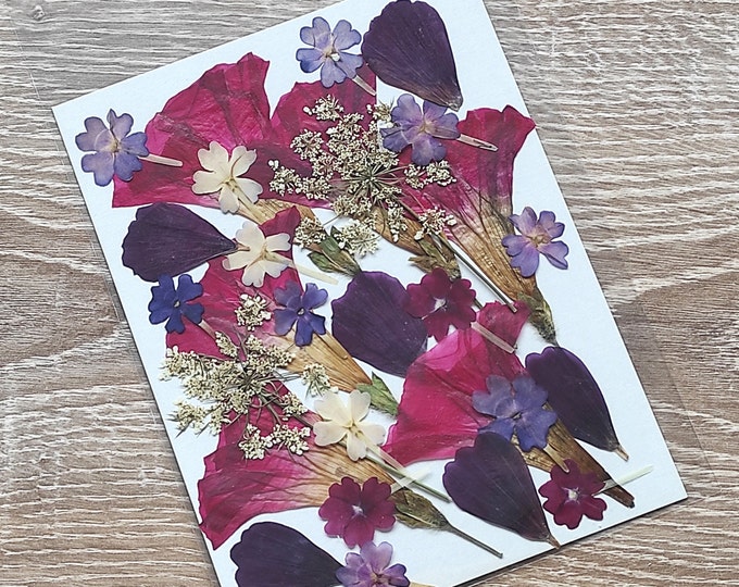 Red Pressed Flowers, Large Pressed Flowers, Morning Glory, Dried ...