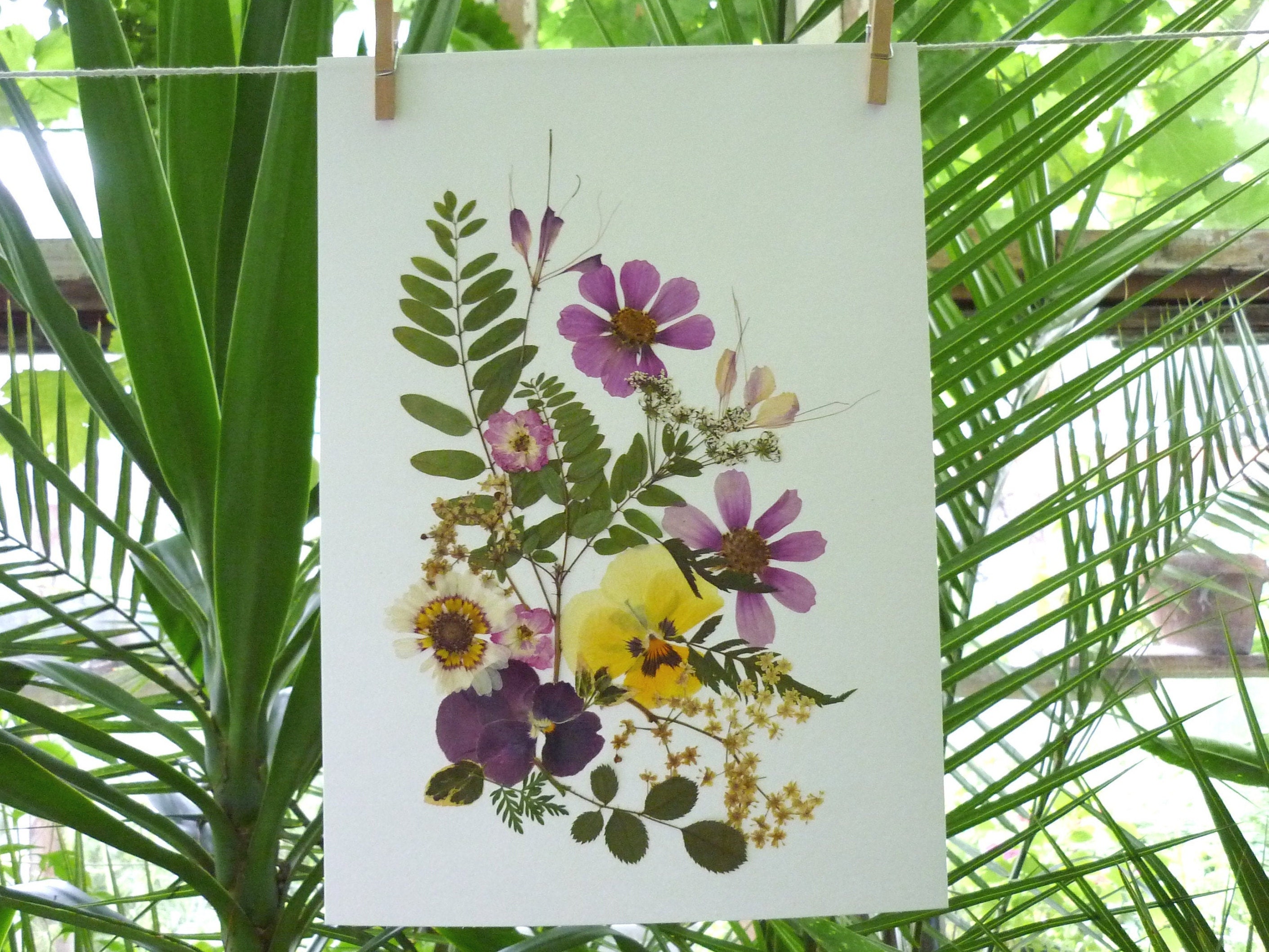 Pressed Flowers Art Pressed Flower Dried Flower Art Pressed | Etsy