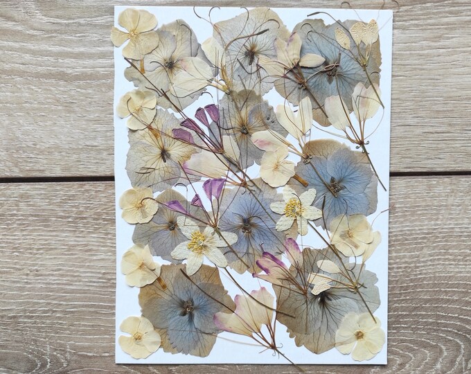 Flowers for Resin, Pressed Flower Art, Pressed Flowers, Mixed Pack for ...