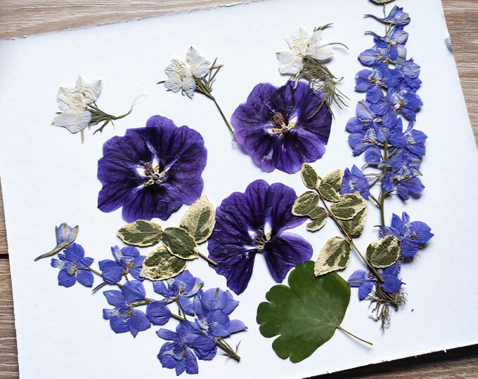 PressedFlowersStudio - Etsy Canada