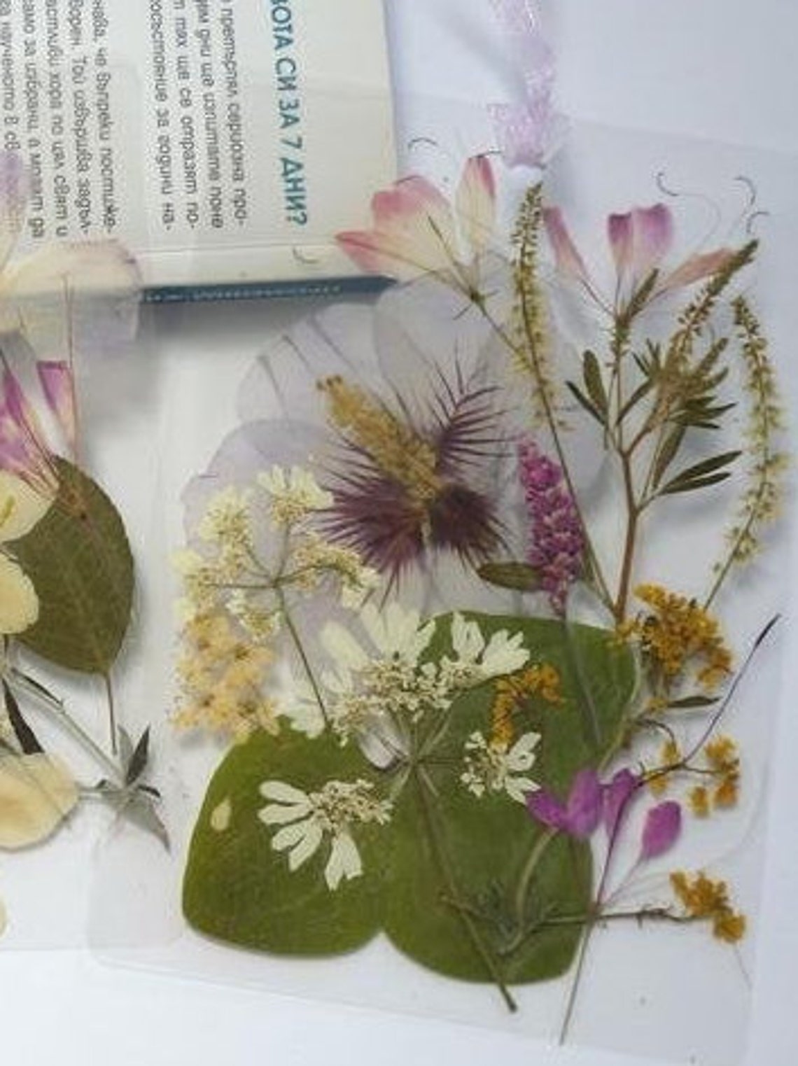 Laminated Bookmark Unique Bookmarks Pressed Flower Art | Etsy