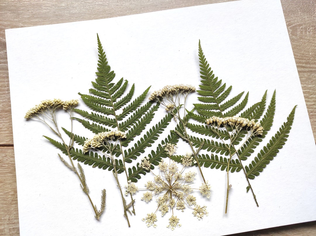 Fern Diy Wall Art Make Your Own Project Craft Card Making - Etsy