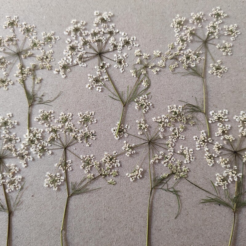 Penny Press Jewelry - Etsy UK