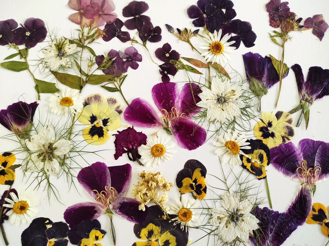 Pressed Flower for Birthday Cakes, Edible Pressed Flower, Pressed ...