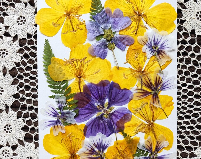 Flower for Resin, Pressed Flower Art, Yellow Pressed Flower, Flowers ...