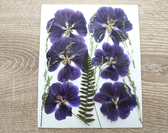 Purple Pressed Flower Dried Flowers for Resin Card Making - Etsy