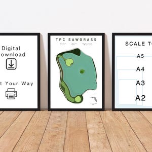 TPC Sawgrass Hole 17 Illustration - Print - Golf Course - Golf Art ...