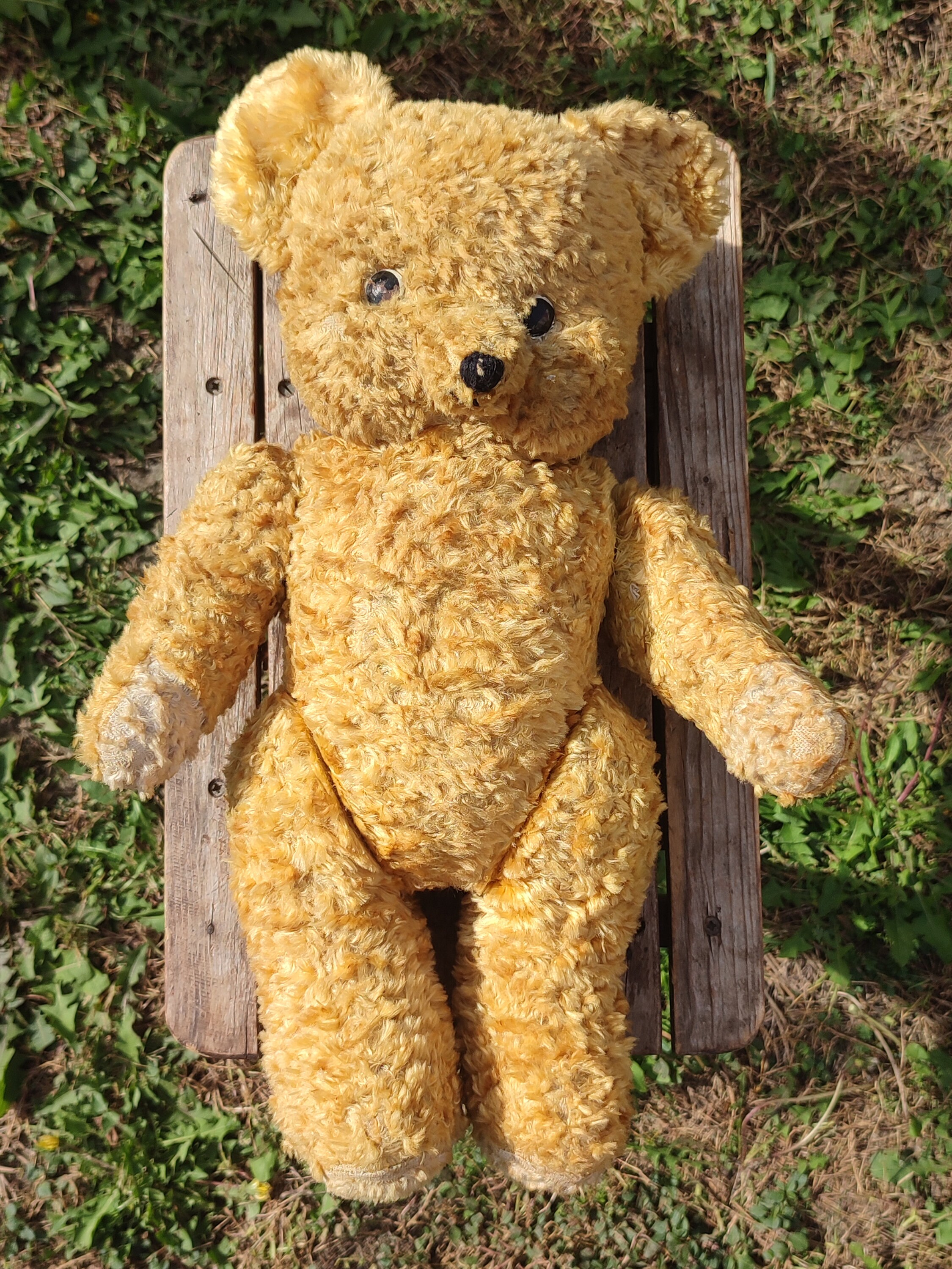 Vintage Teddy Bear 1930s-40s Dutch Arthur Van Gelden Stuffed - Etsy