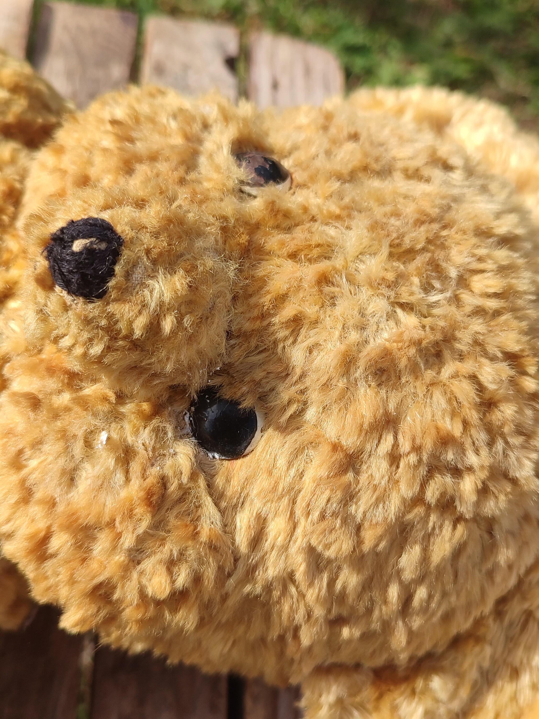 Vintage Teddy Bear 1930s-40s Dutch Arthur Van Gelden Stuffed - Etsy