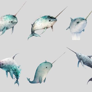 Watercolor Narwhal Clipart, Whale Clipart, Ocean Fish Png Bundle, Whale Sublimation Graphics ...